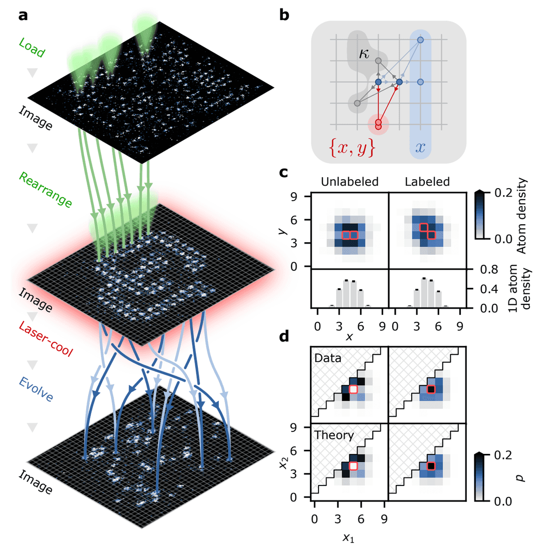 Home | Joint Quantum Institute | Schine Group